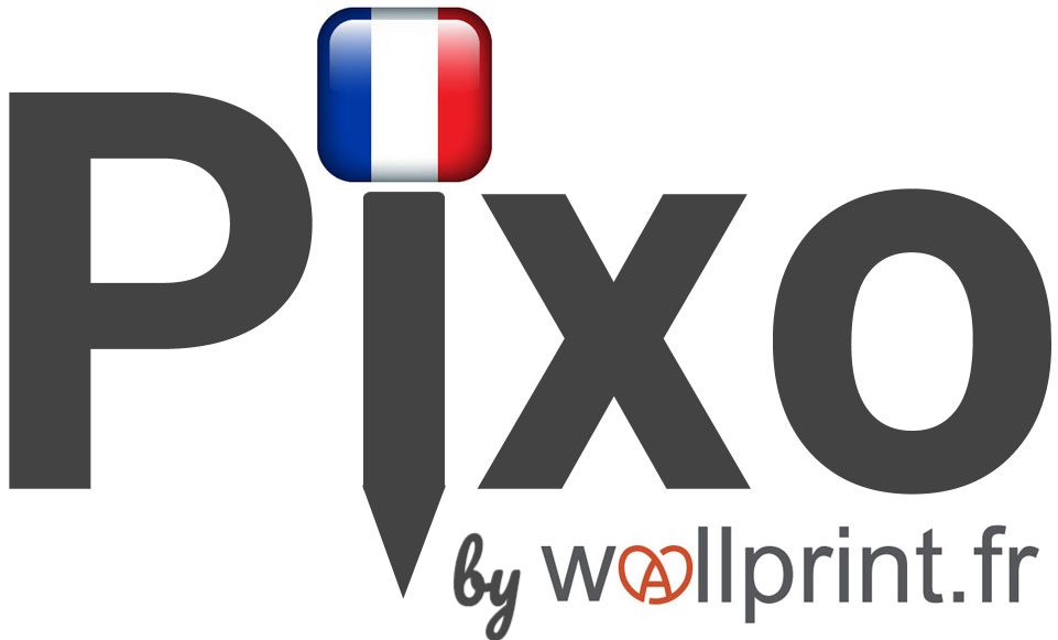 Pixo is now available in French! – Pixo Image Editor