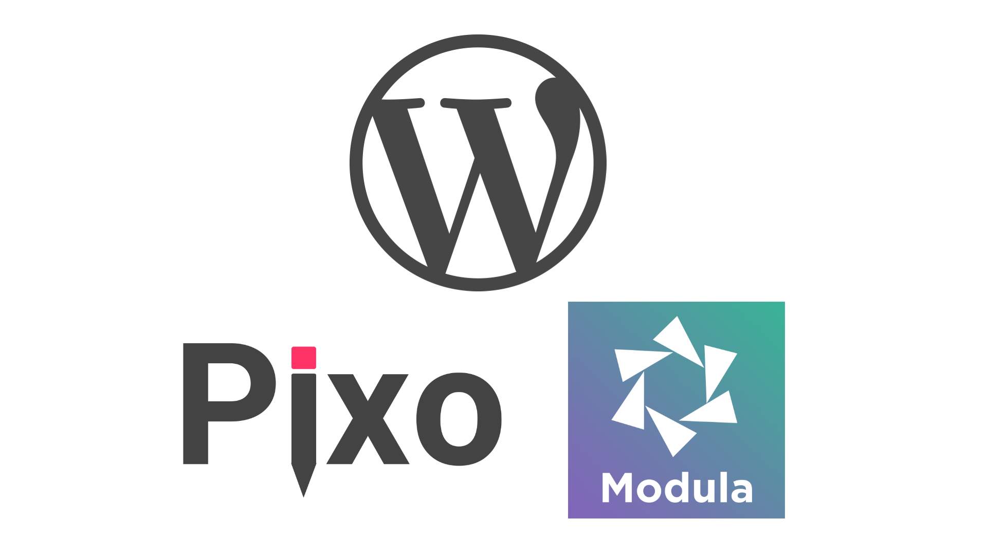 Pixo & Modula - The Perfect Combo for Photographers – Pixo Image Editor